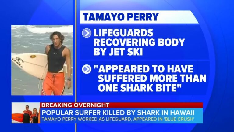 ショートボード 5'6 – | サーフィンの最新情報・動画・話題のまとめ